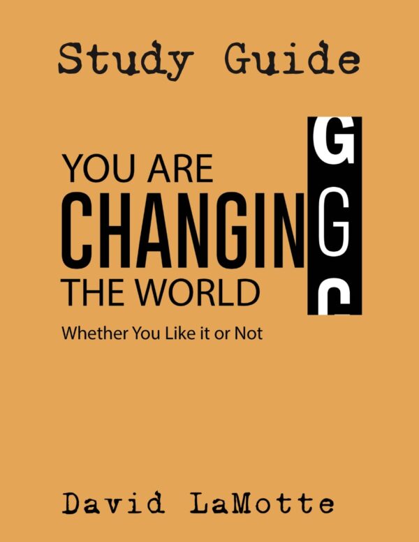 You Are Changing the World Study Guide - David LaMotte